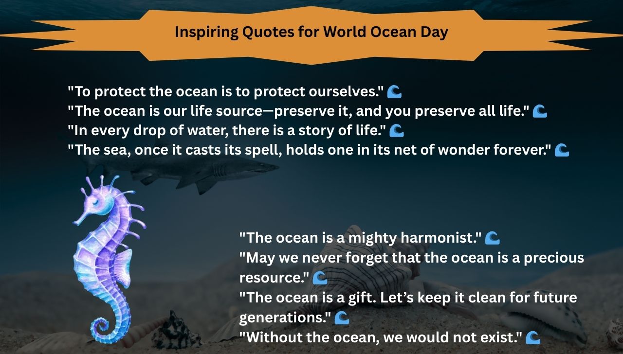 Top 150 Slogans for World Ocean's Day and Awareness - Search Fleek