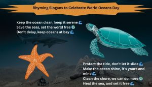 Top 150 Slogans for World Ocean's Day and Awareness - Search Fleek