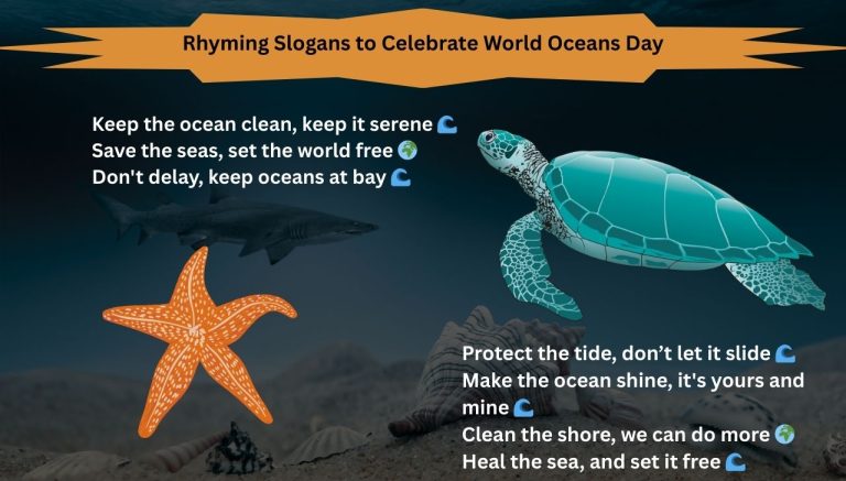 Top 150 Slogans for World Ocean's Day and Awareness - Search Fleek