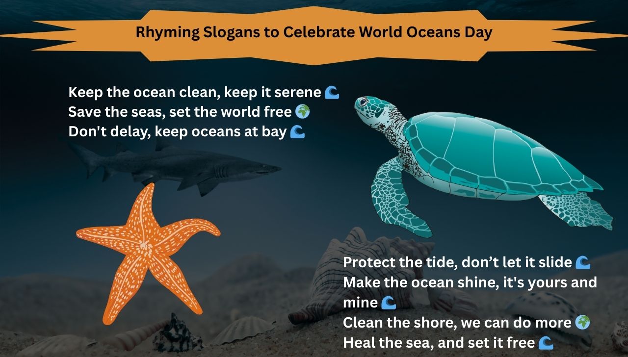 Top 150 Slogans for World Ocean's Day and Awareness - Search Fleek