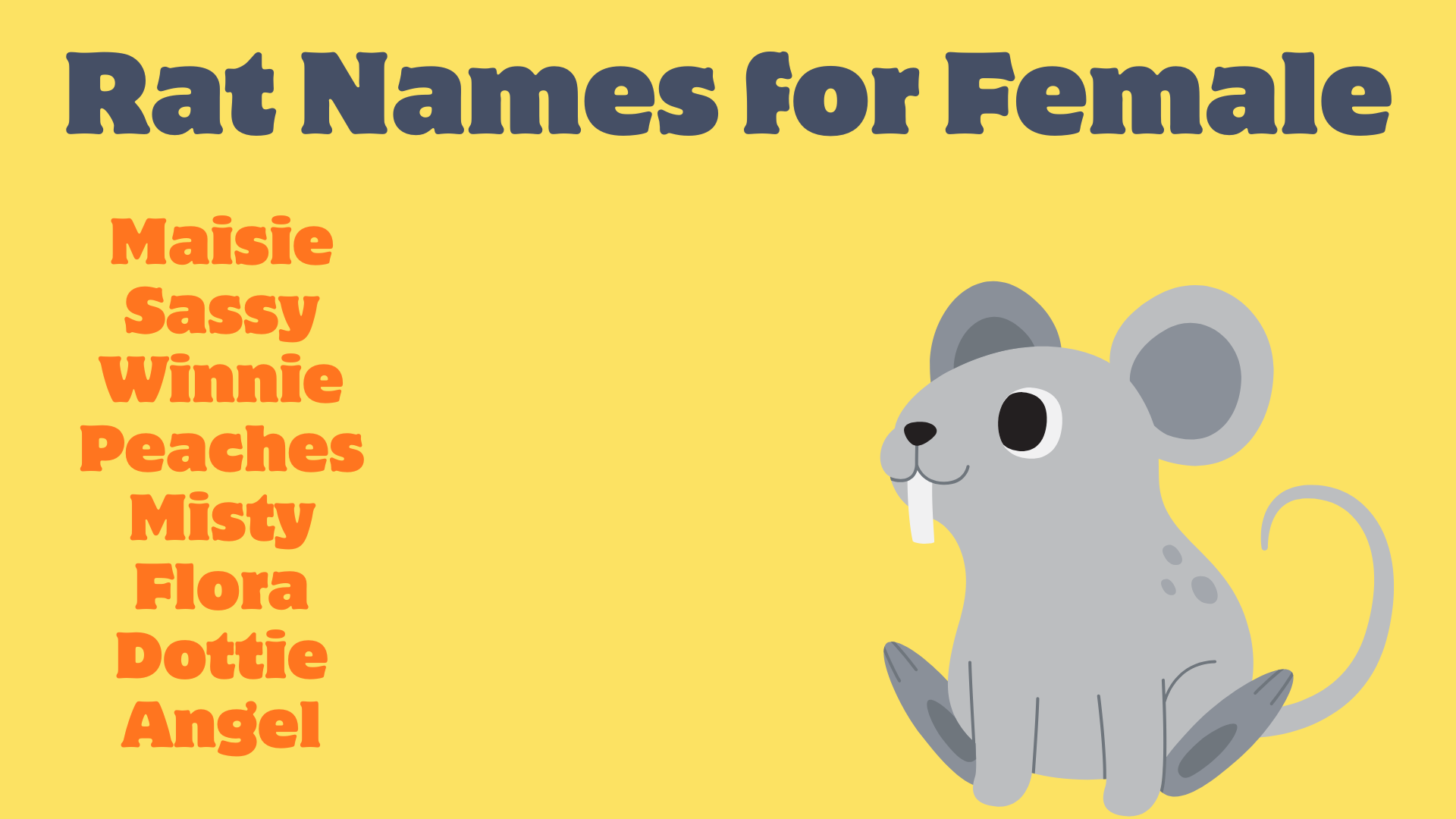 435+ Unique Rat Names for Male, Female & Baby Rats - Search Fleek