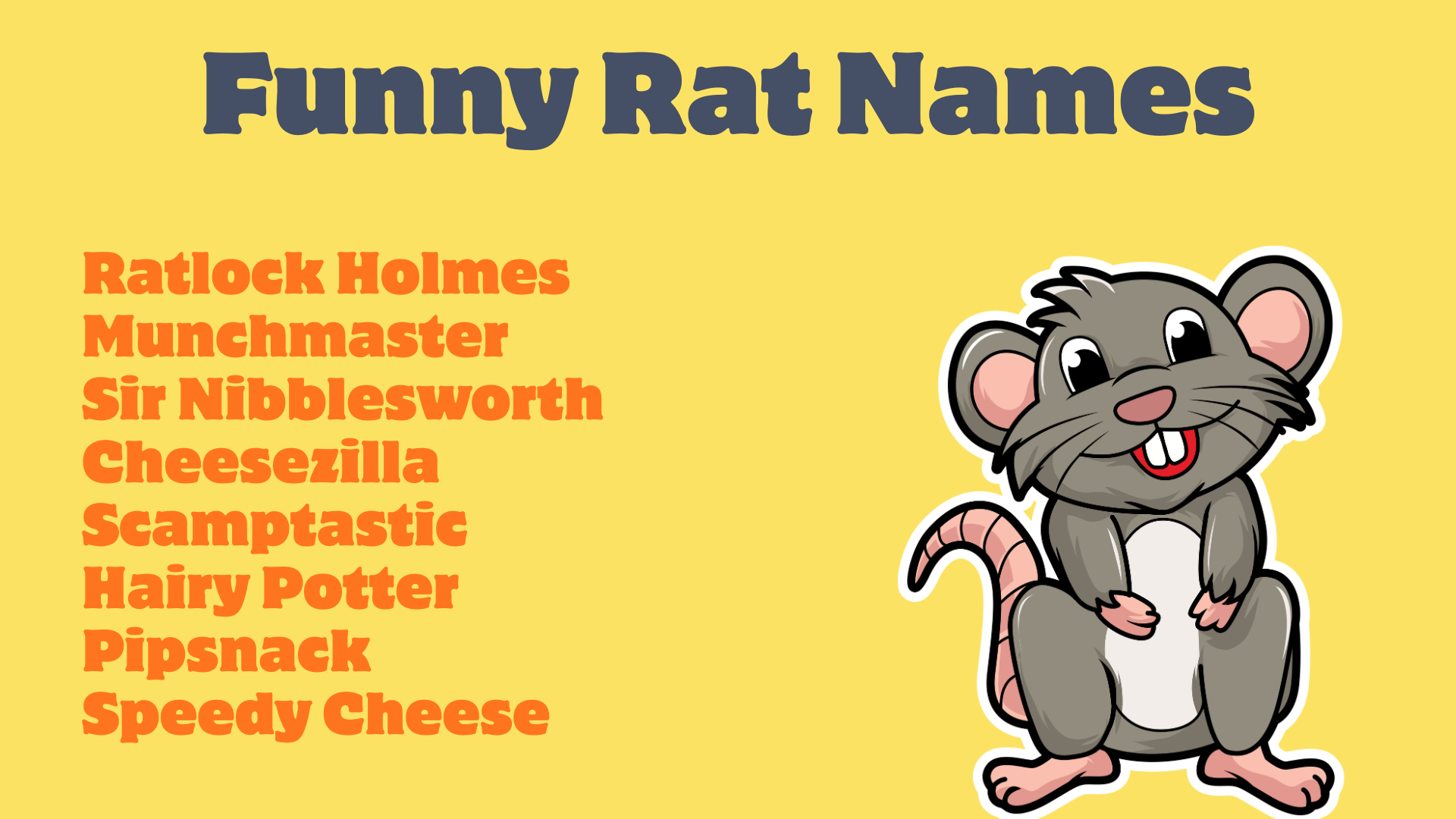 435+ Unique Rat Names for Male, Female & Baby Rats - Search Fleek
