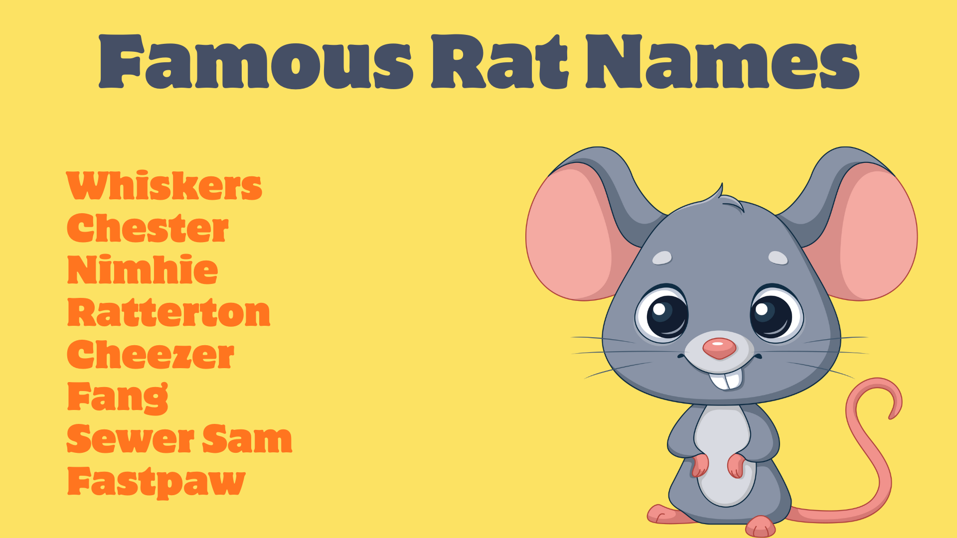 435+ Unique Rat Names for Male, Female & Baby Rats - Search Fleek